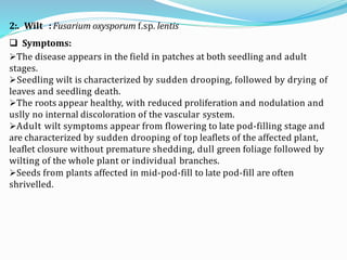Diseases of Lentil | PPTX