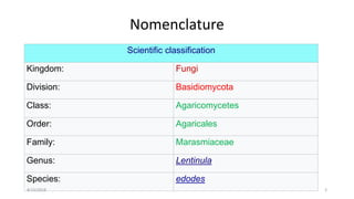 Lentinula edodes (shiitake) copy | PPTX | Gardening | Home & Garden