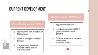Lentiviral mediated CRISPR/Cas9 | PPT