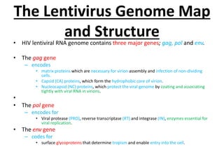 Lentiviruses as a gene transferring agent | PPTX