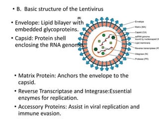 lentivirus Presentation.ppt describe very much | PPT