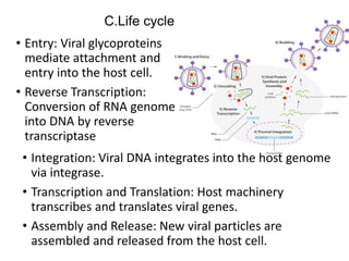 lentivirus Presentation.ppt describe very much | PPT
