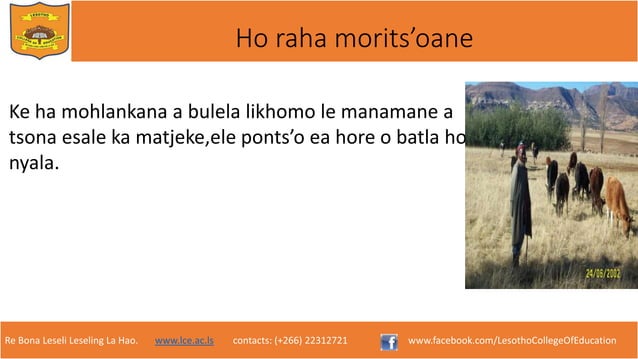 Lenyalo la sesotho | PPTX
