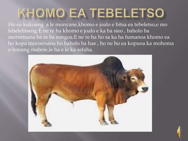 LENYALO LA SESOTHO by Makara | PPTX