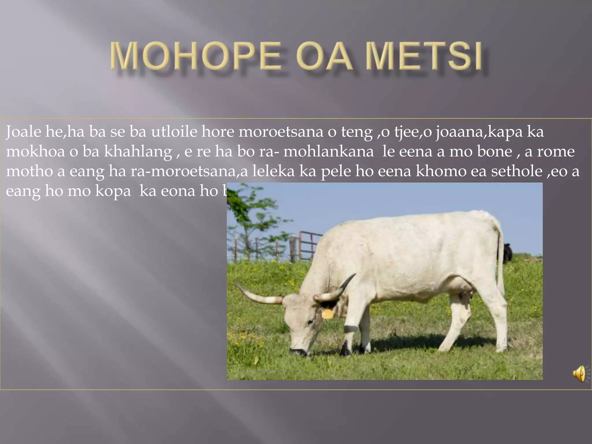 LENYALO LA SESOTHO by Makara.pptx
