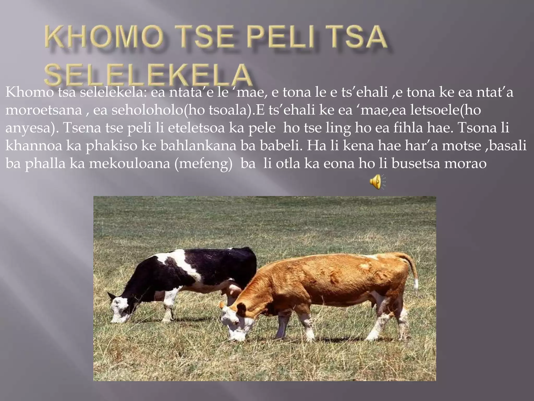 LENYALO LA SESOTHO by Makara.pptx