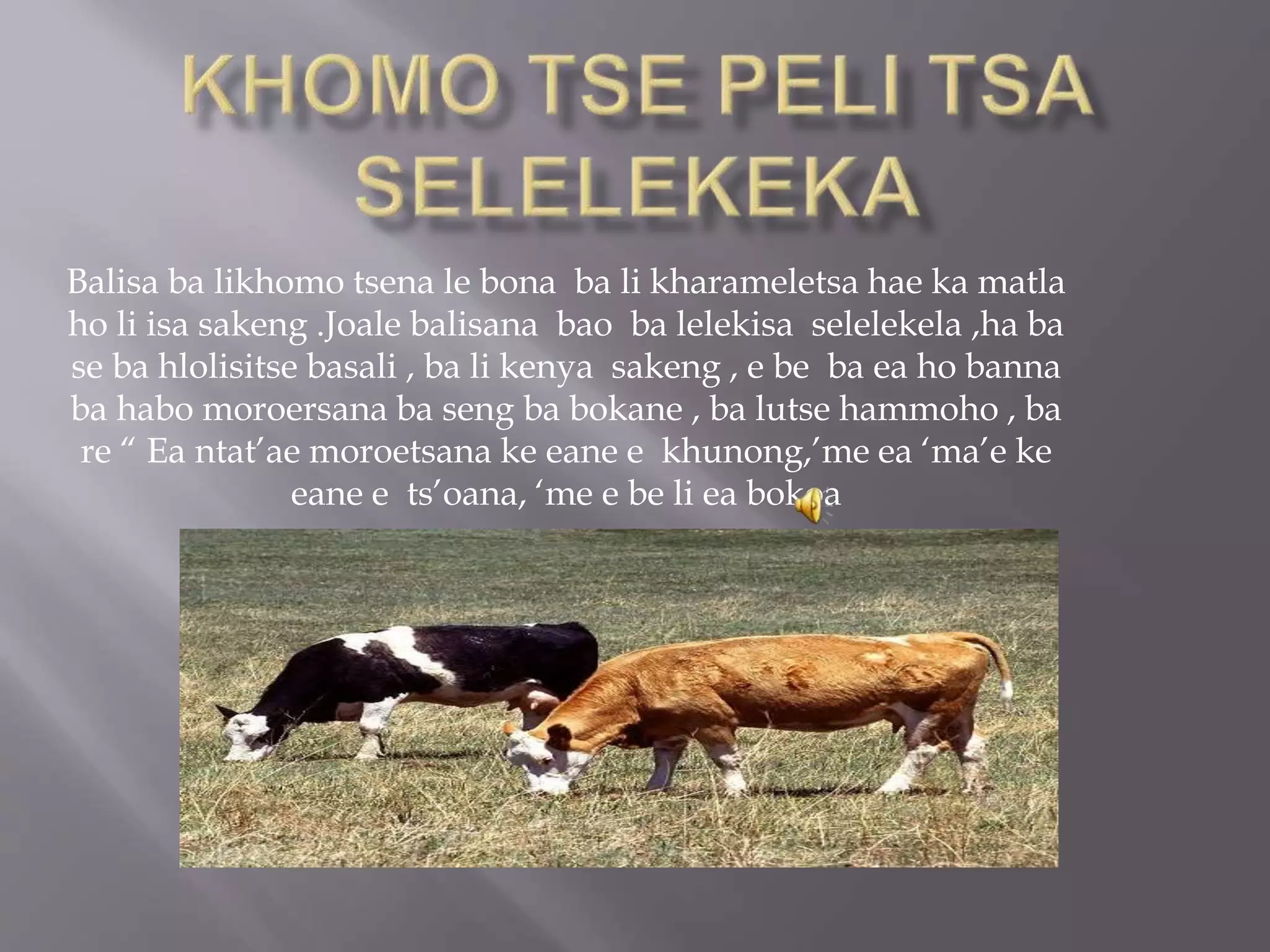 LENYALO LA SESOTHO by Makara.pptx