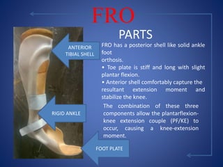LEO.pptx | Foot Health | Diseases and Conditions