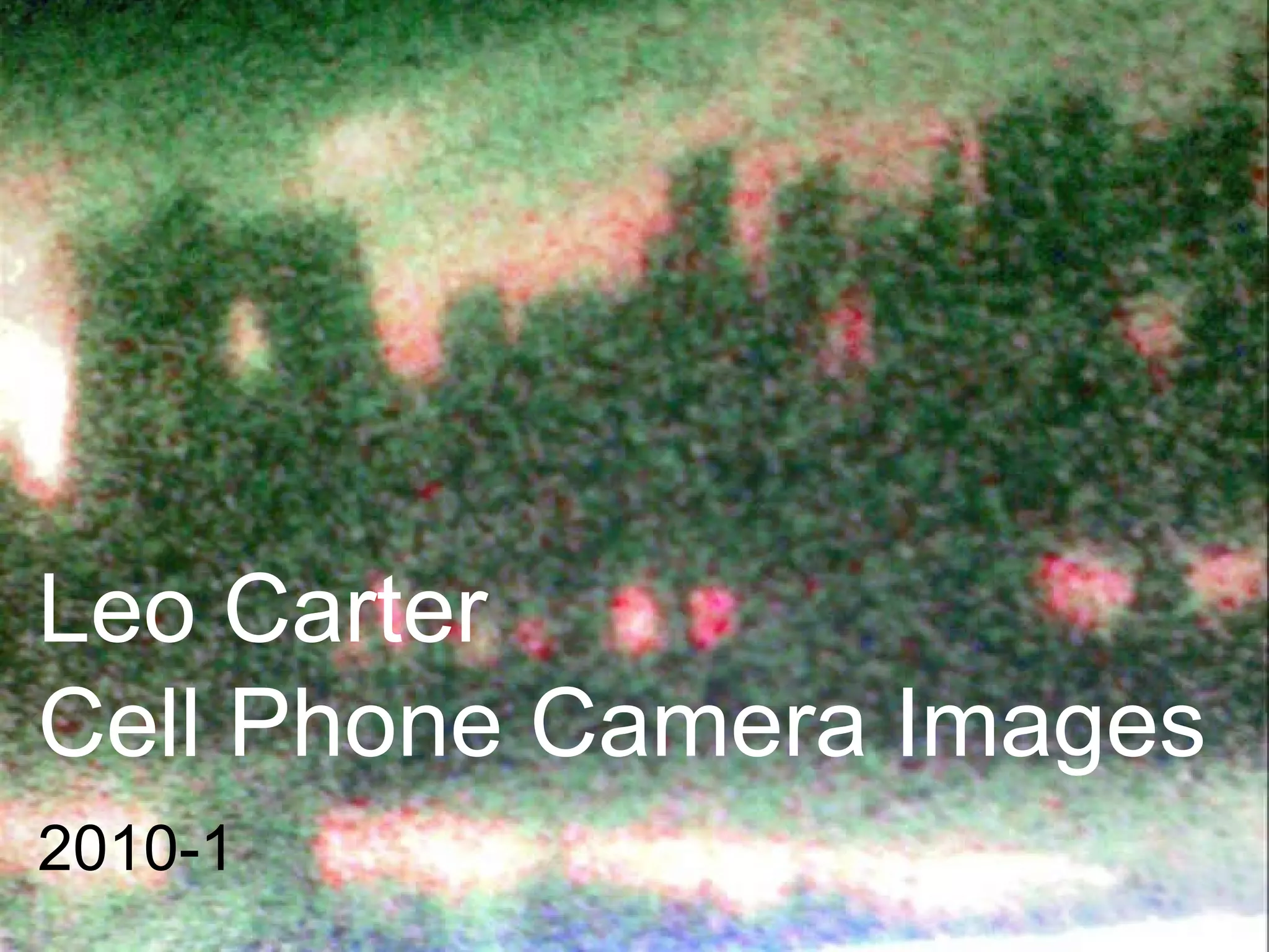 Leo Carter Photos 2010 11 | PPT