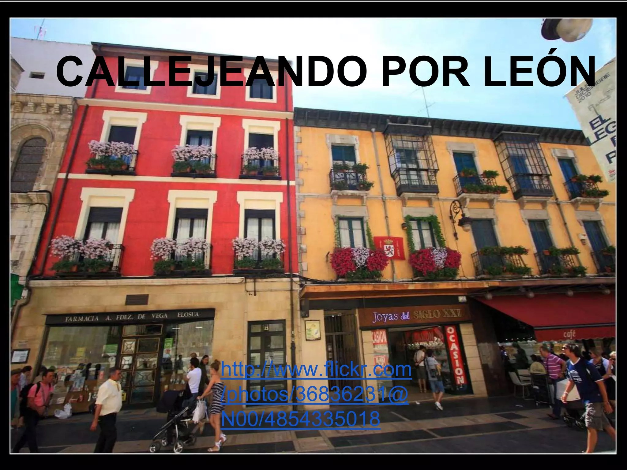 Leon | PPT