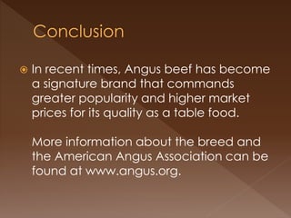 Leonard Gotshalk Continues the Tradition of Angus Cattle Breeding | PPTX