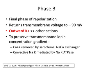 Leonard, Lily - Ed 6 - Anatomy and Physiology.pptx