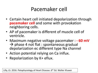 Leonard, Lily - Ed 6 - Anatomy and Physiology.pptx