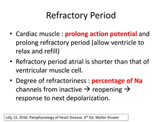 Leonard, Lily - Ed 6 - Anatomy and Physiology.pptx
