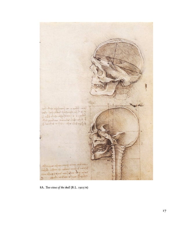 Leonardo da vinci anatomical drawings from the royal library windsor ...