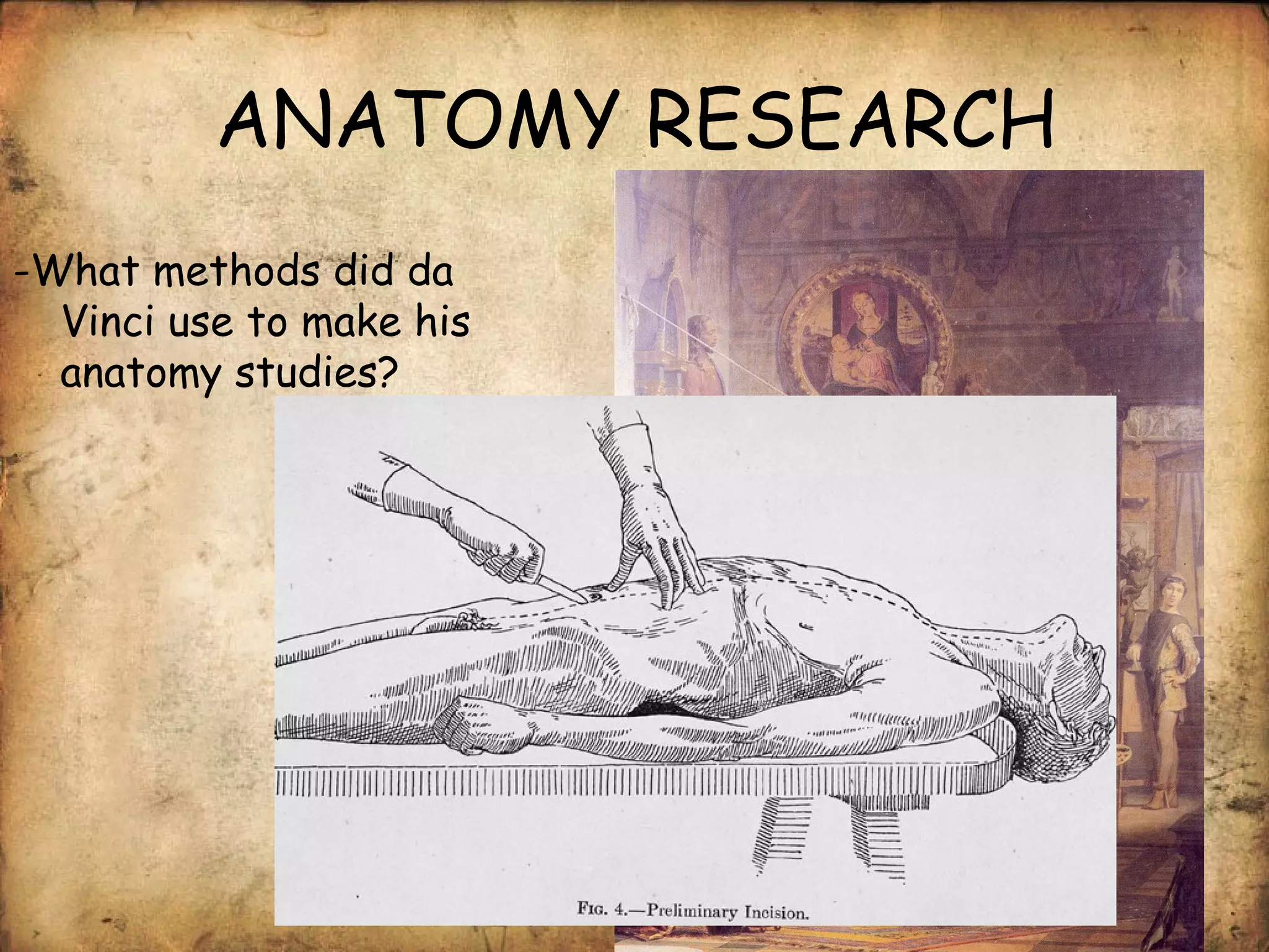Leonardo da vinci biology | PPT