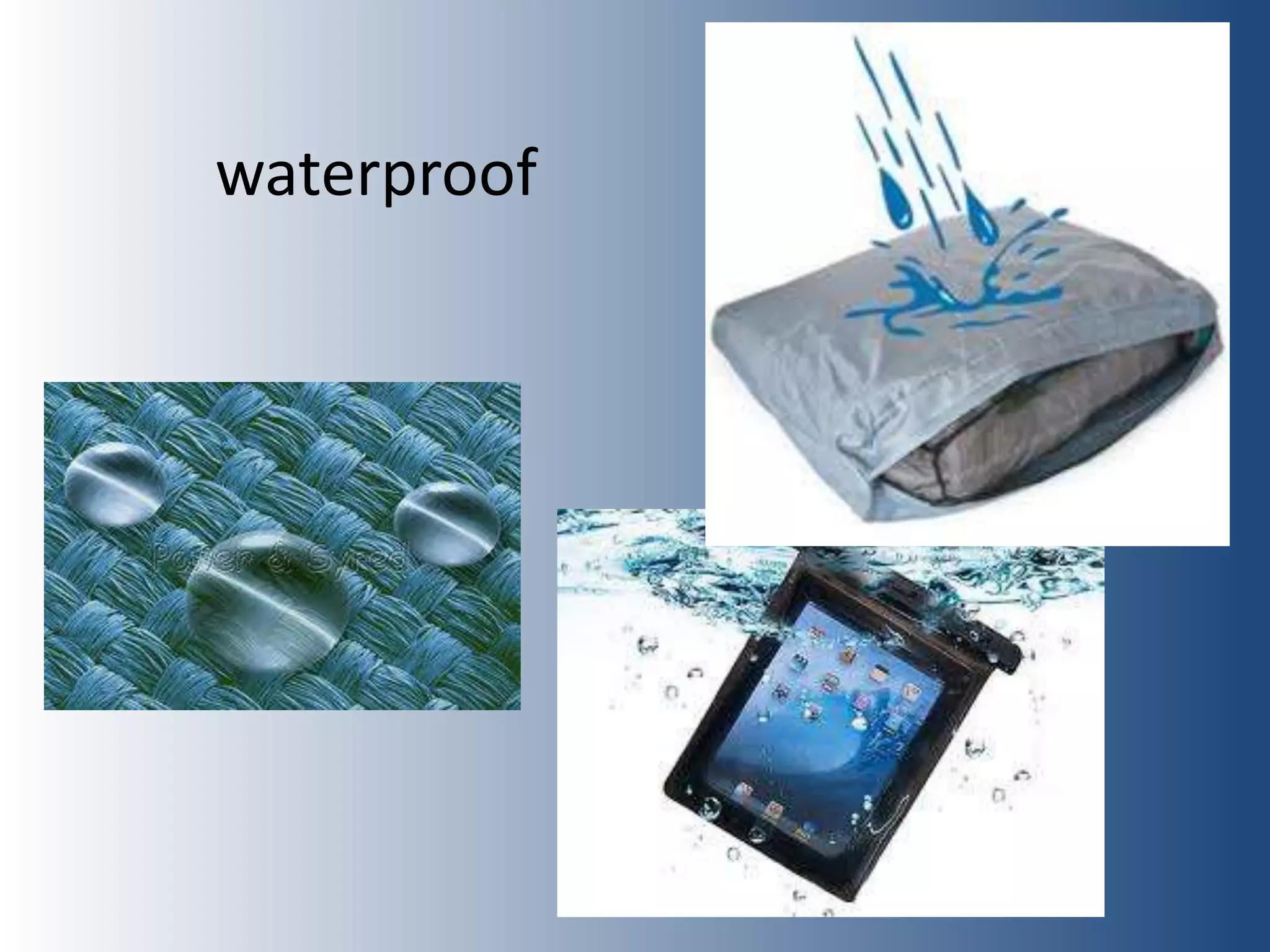 Leonardo´s horse spelling lesson | PPT