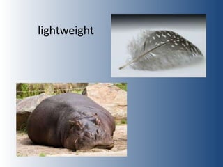 Leonardo´s horse spelling lesson | PPT | Free Download