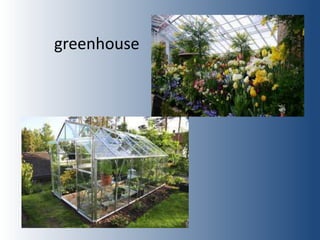 Leonardo´s horse spelling lesson | PPTX