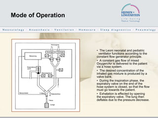 Leoni Plus PräSent Hfo Eng | PPT