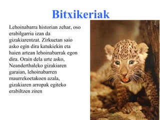 Leopardoa | PPT