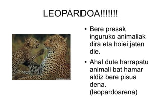 Leopardoa | ODP