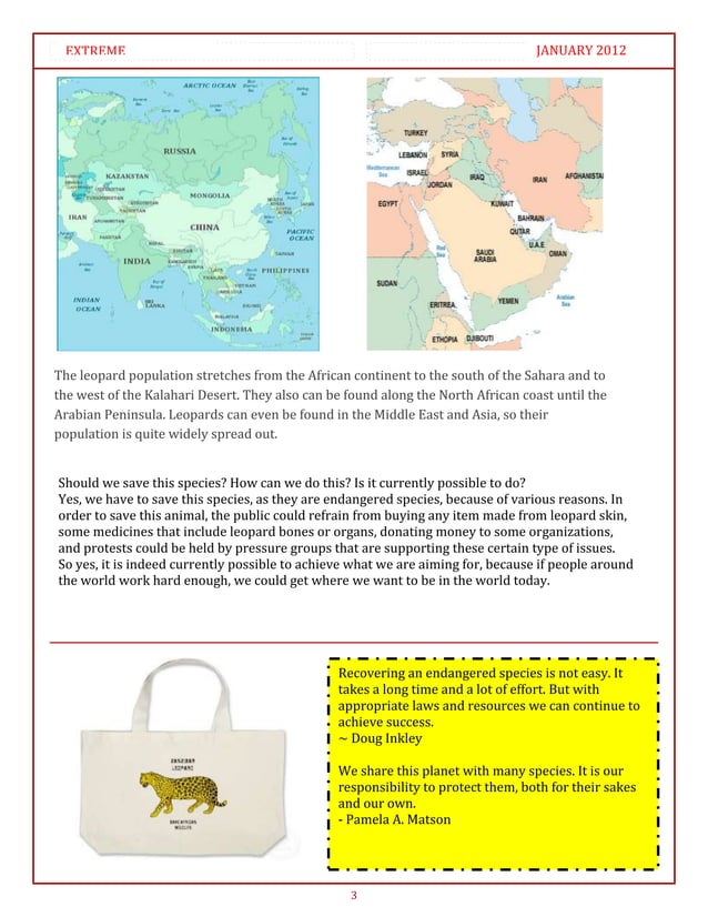 Leopard project | PDF