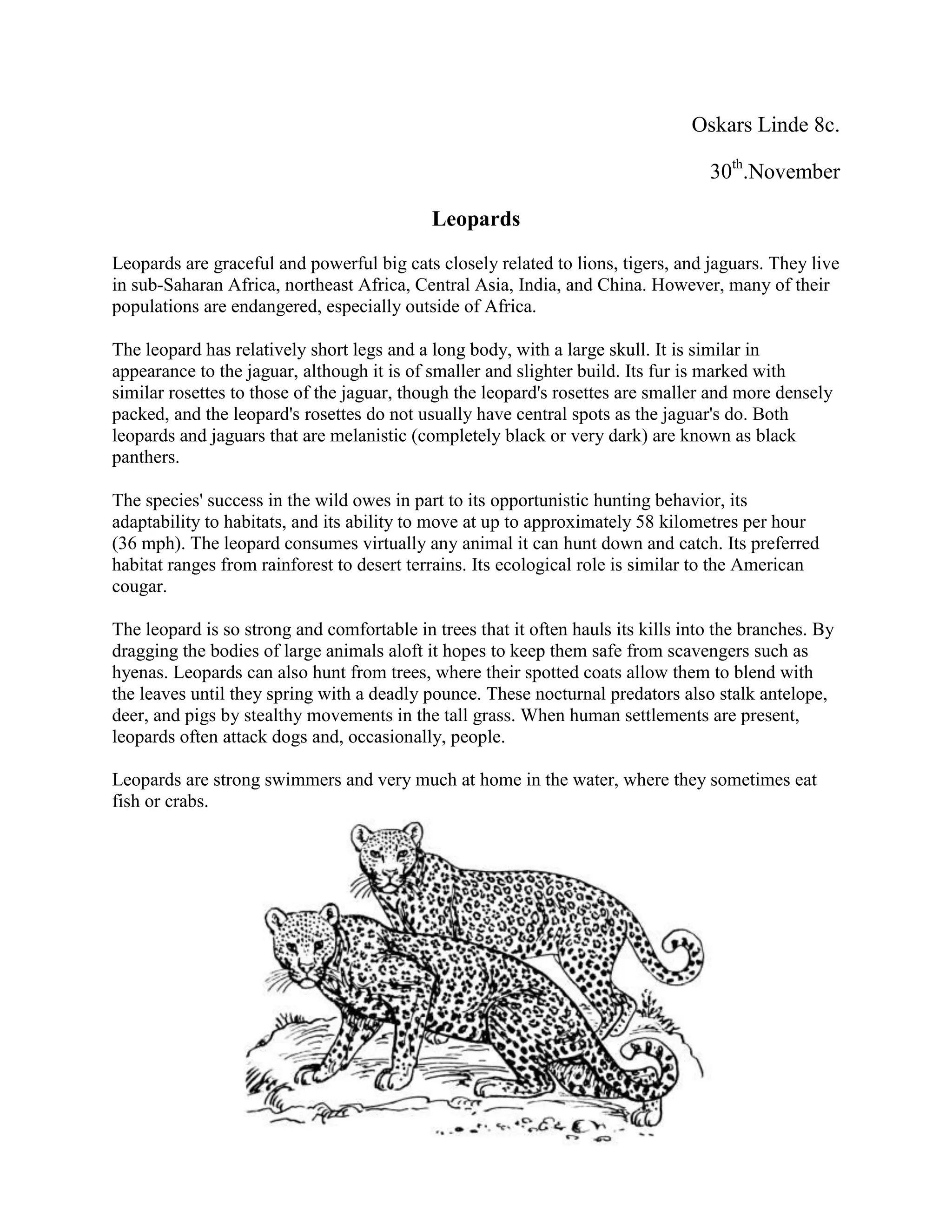 Leopards | DOCX