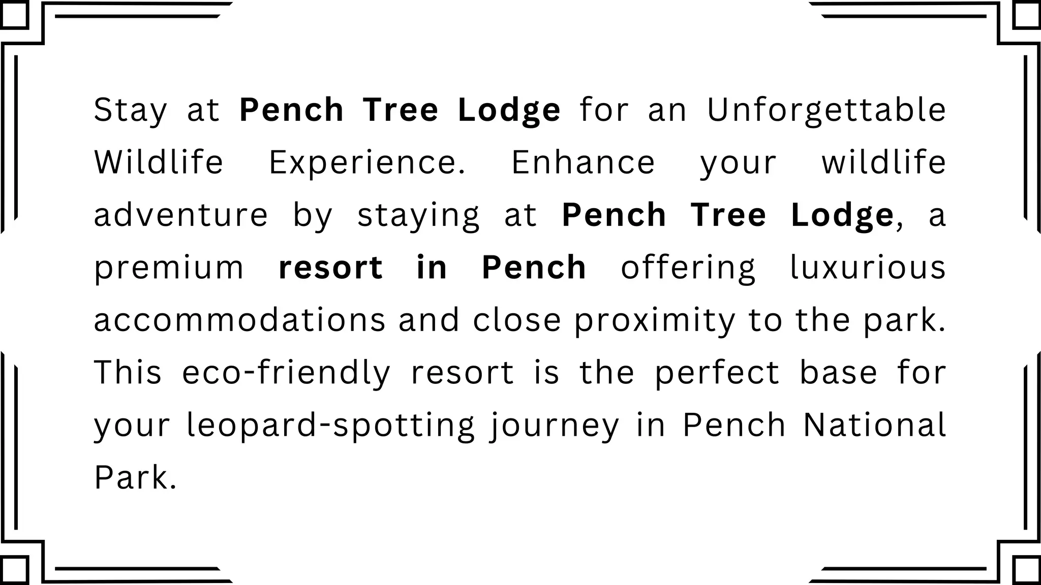 Leopards of Pench: A Wildlife Adventure in Pench National Park | PDF