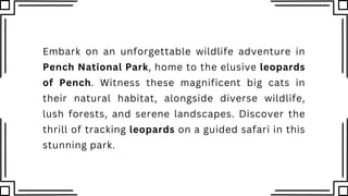 Leopards of Pench: A Wildlife Adventure in Pench National Park | PDF