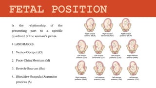 The LEOPOLD MANEUVERS in Midwifery practice | PPTX