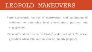 The LEOPOLD MANEUVERS in Midwifery practice | PPTX