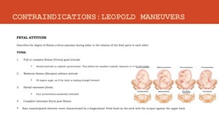 The LEOPOLD MANEUVERS in Midwifery practice | PPTX