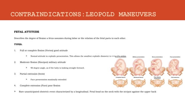 The LEOPOLD MANEUVERS in Midwifery practice | PPTX