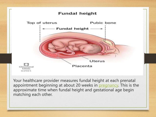 Leopold manuver.pptx | Pregnancy | Reproductive Health
