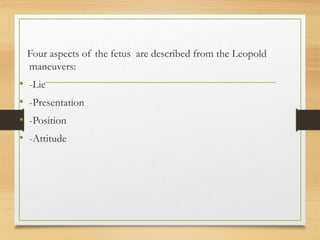 Leopold manuver.pptx | Pregnancy | Reproductive Health