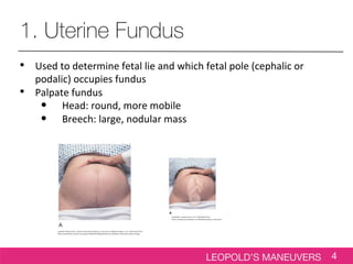 Leopolds-maneuvers-3.pdf