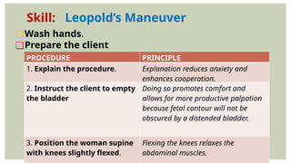 LEOPOLD'S MANEUVER POWER POINT PRESENTATION | PPTX