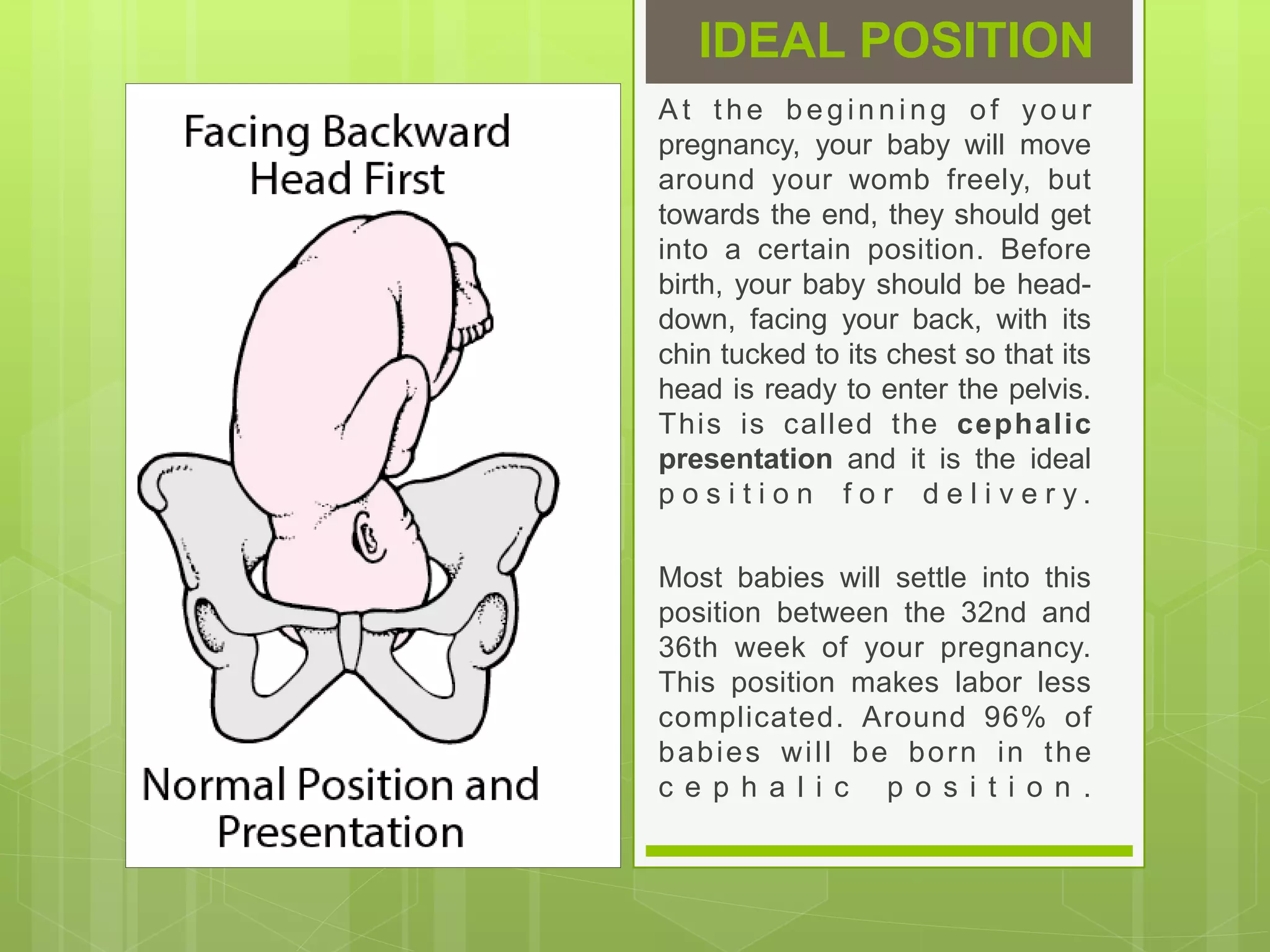 Leopold’s Maneuver | PPTX