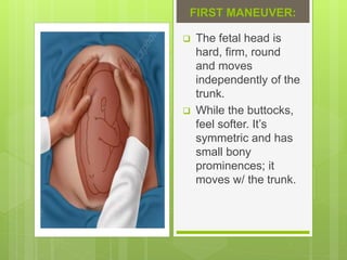 Leopold’s Maneuver | PPTX