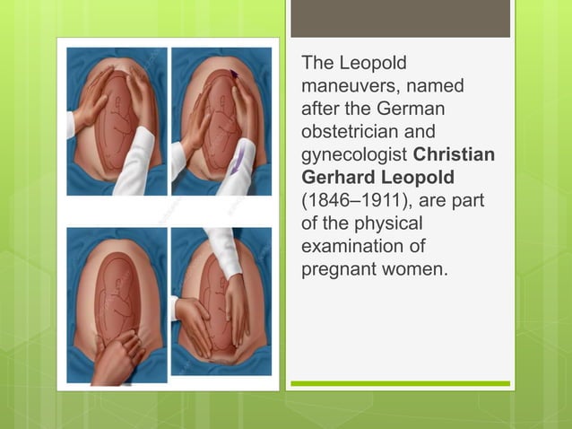 Leopold’s Maneuver | PPTX | Pregnancy | Reproductive Health