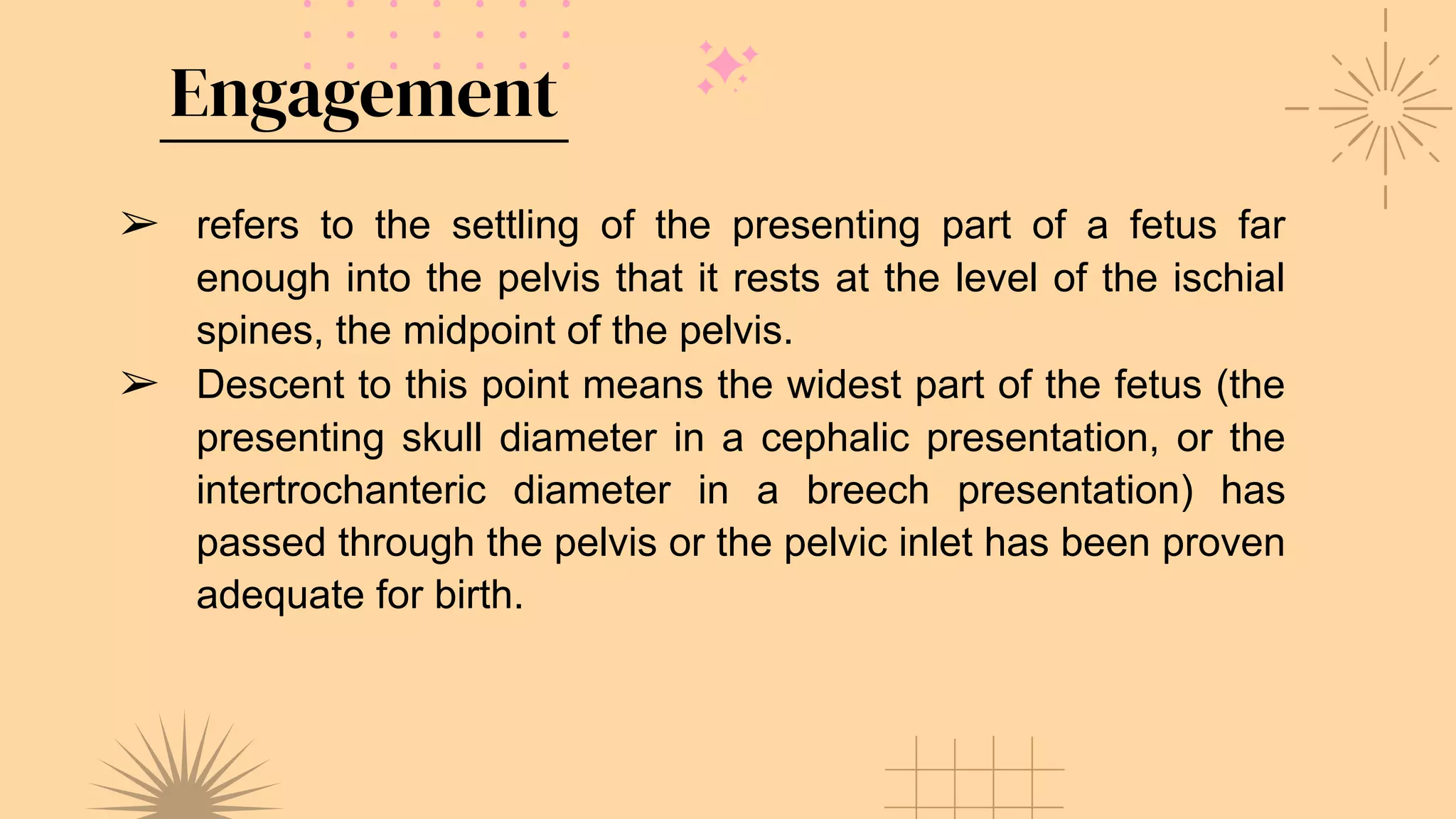 Leopold's Maneuver.pdf