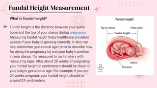 Leopold's Maneuver.pdf