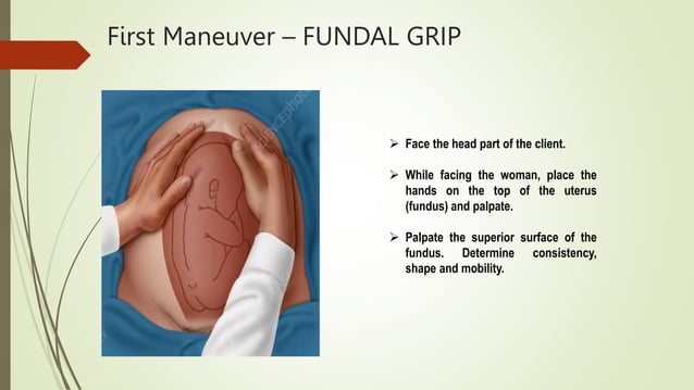 LEOPOLD'S MANEUVER.pptx | Pregnancy | Reproductive Health