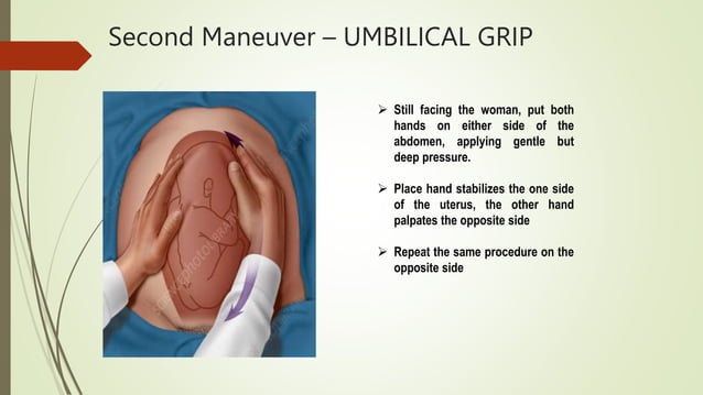 LEOPOLD'S MANEUVER.pptx | Pregnancy | Reproductive Health