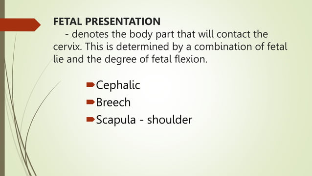 LEOPOLD'S MANEUVER.pptx | Pregnancy | Reproductive Health