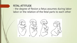 LEOPOLD'S MANEUVER.pptx