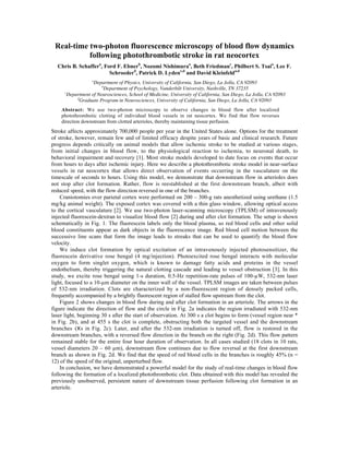 LeReal-time two-photon fluorescence microscopy of blood flow dynamics ...