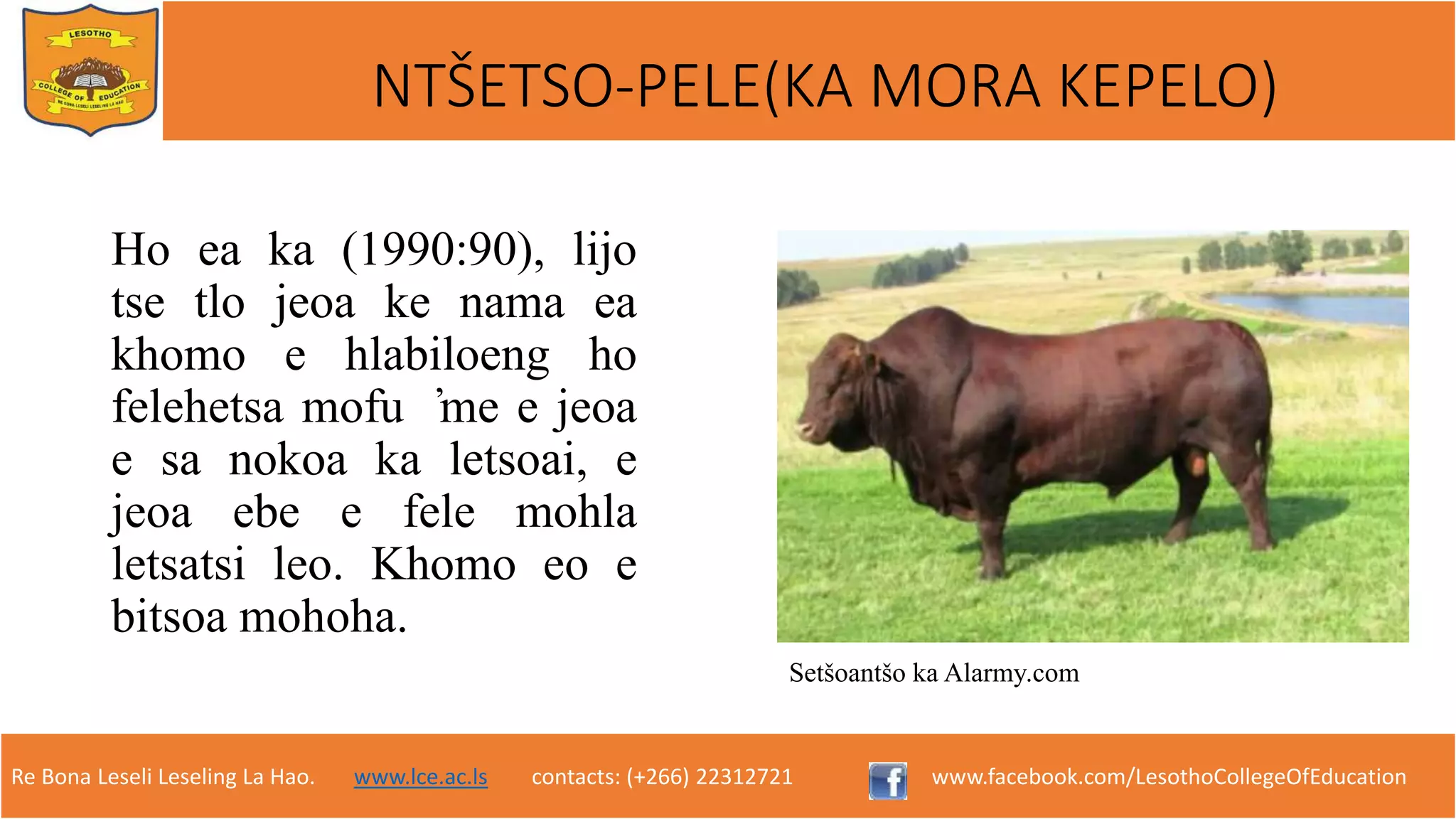 Lepato la sesotho khale | PPTX