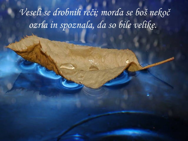Lepe Misli | PPS